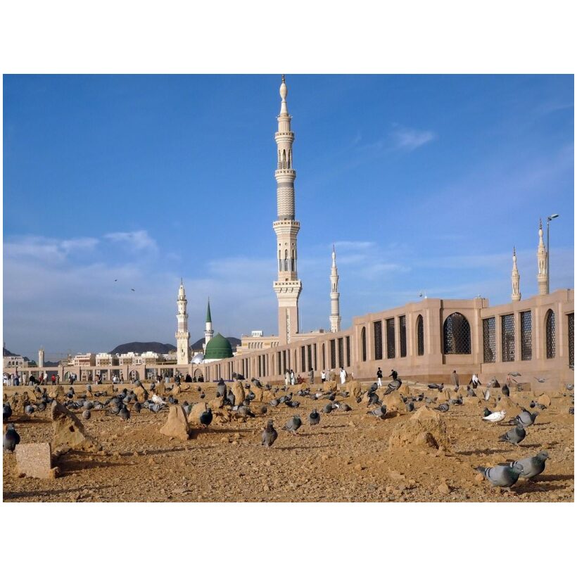 Umrah Package In Shawwal 2023 - Areeba Tourism